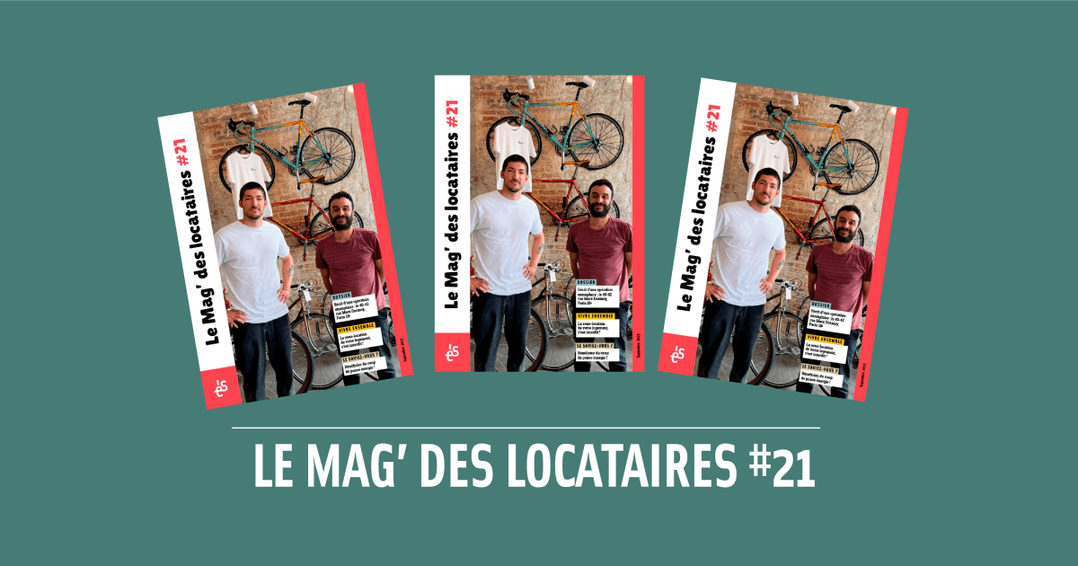 Le mag'#21 est livré ! - Actualités - elogie-siemp